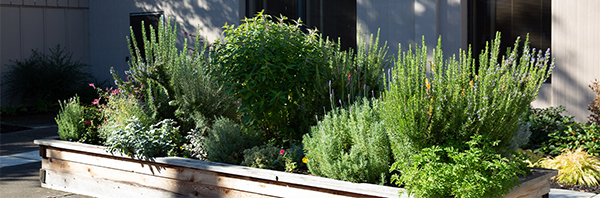 Unity Center for Behavioral Health - Portland, Oregon - Mental Health ...